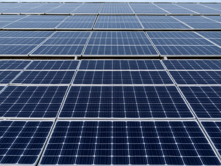 Las Últimas Innovaciones en Paneles Solares para 2025: ¿Qué Nos Espera ...